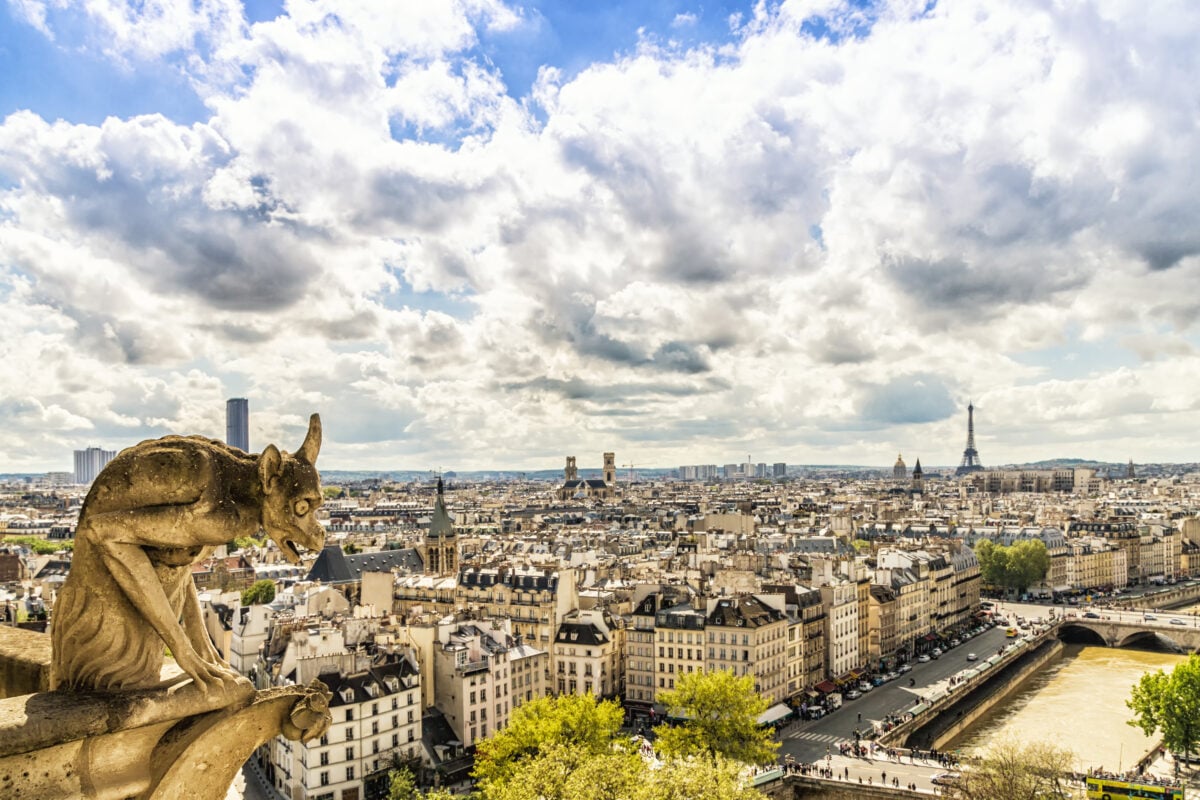 Ireland Shines at the 2024 Summer Olympics in Paris - ForYou.ie